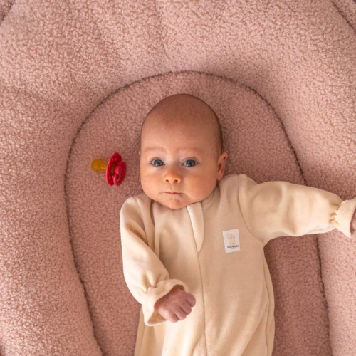 Baby Nests & Safety in the UK: Facts, Evidence and Balanced Advice ...
